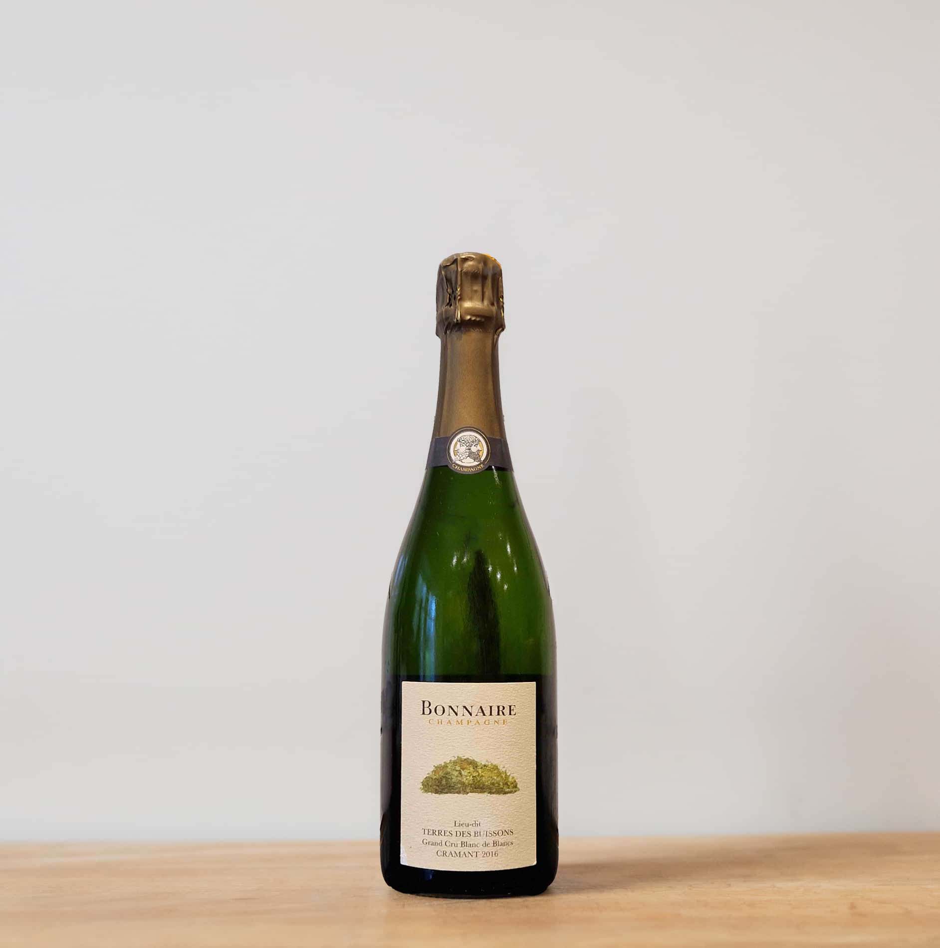 Bonnaire Les Terres des Buissons 2016 – Sip Champagnes